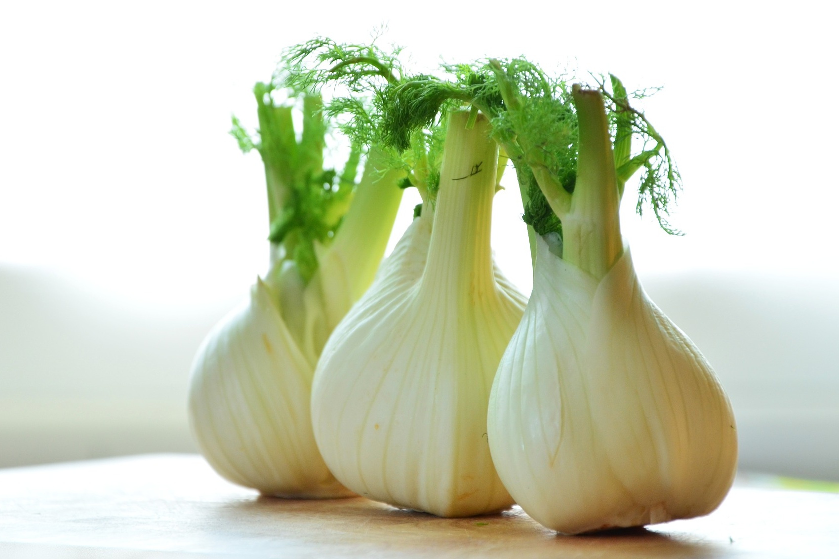 Le fenouil - Association MIAM