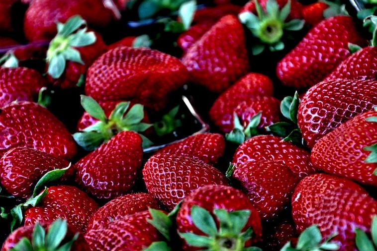 La fraise - Association Miam