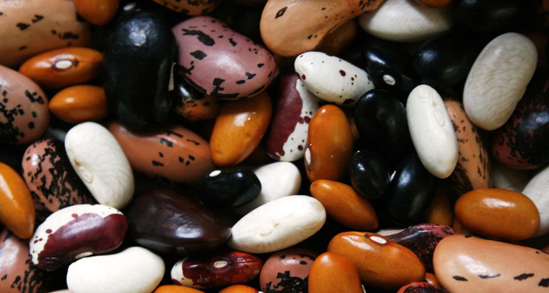 Les haricots secs - Association Miam